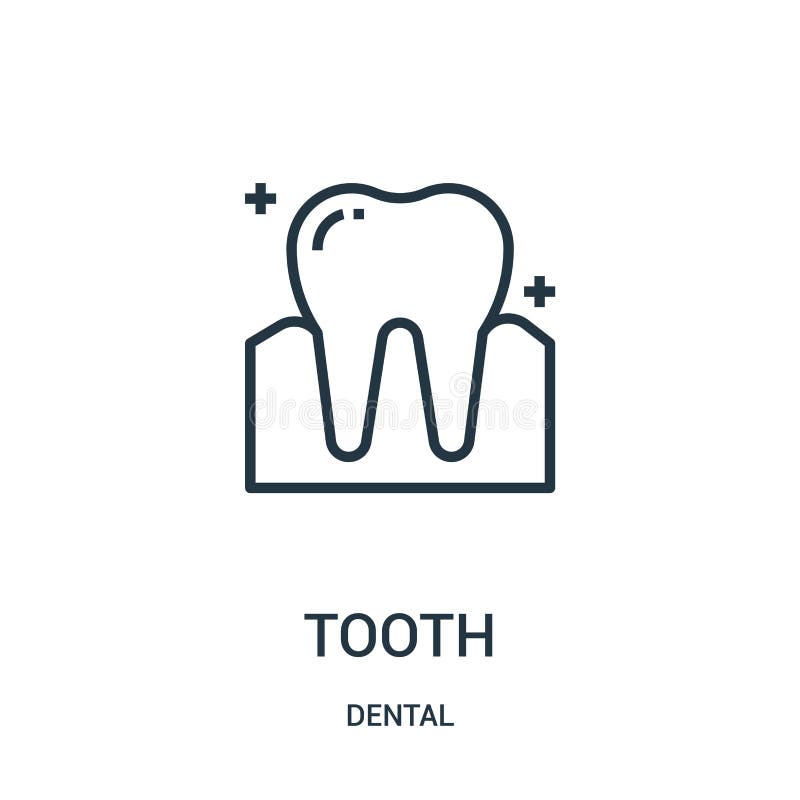 Tooth Icon Vector from Dental Collection. Thin Line Tooth Outline Icon ...
