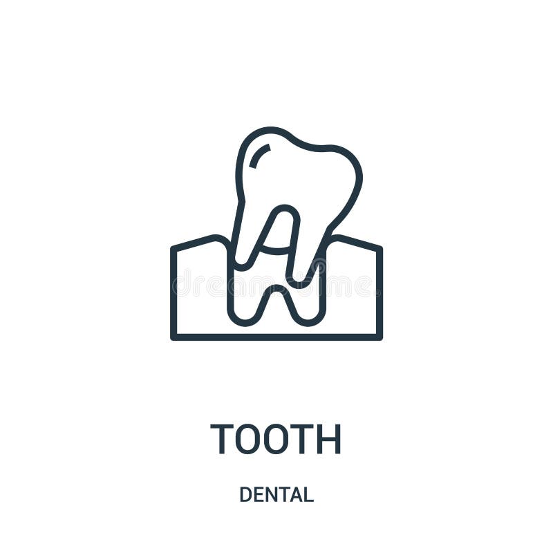 Tooth Icon Vector from Dental Collection. Thin Line Tooth Outline Icon ...