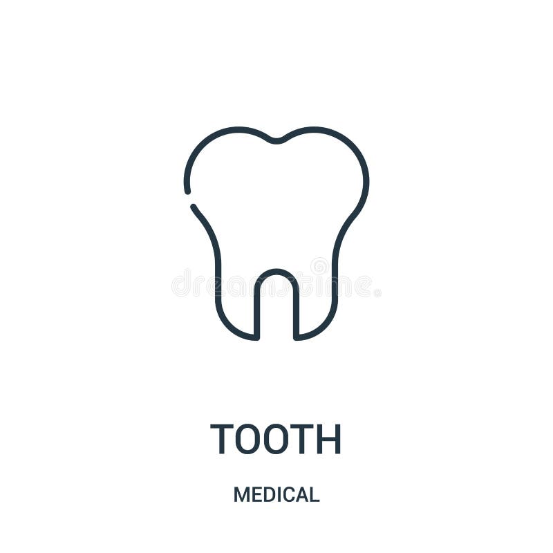 Tooth Icon Vector from Medical Collection. Thin Line Tooth Outline Icon ...
