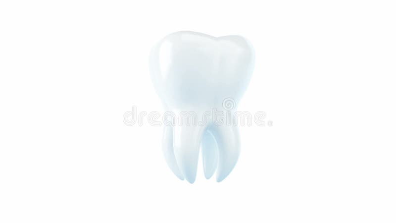 Spinning Tooth on Green Screen Animation Stock Footage - Video of ...