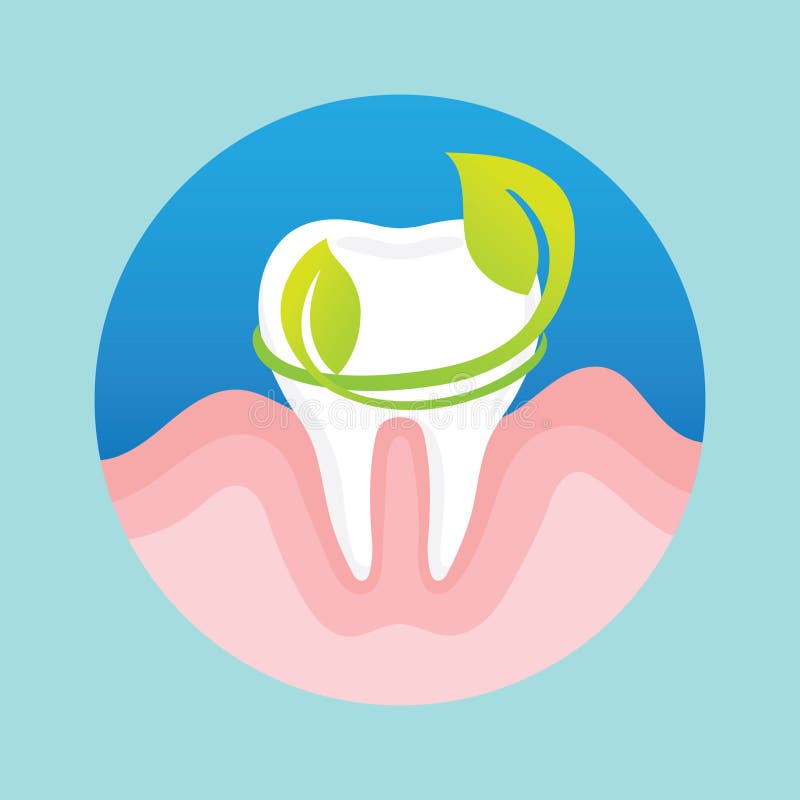Tooth with Leaf. Vector Illustration Decorative Design Stock Vector ...