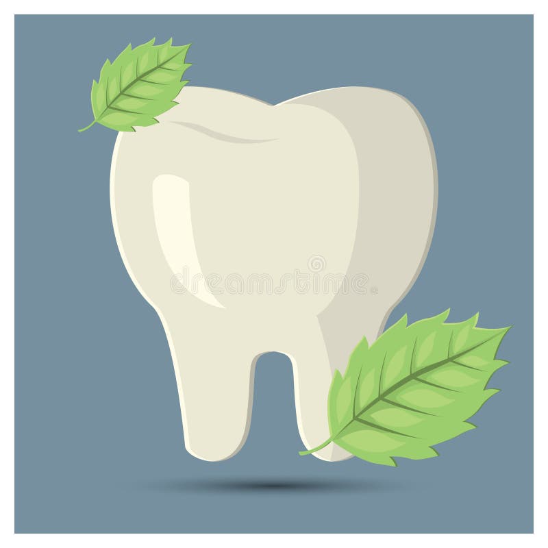 Tooth with Leaves. Vector Illustration Decorative Design Stock Vector ...