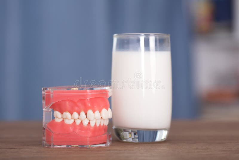 Tooth Model and a Glass of Milk Stock Image - Image of life, care ...