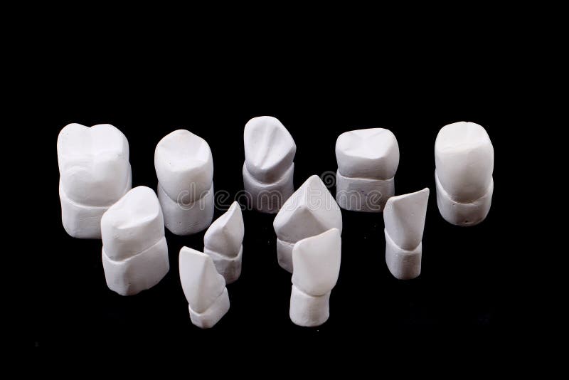 Tooth Model Objects from Dentist School Stock Image - Image of ...