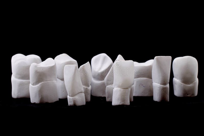 Tooth Model Objects from Dentist School Stock Image - Image of teeth ...