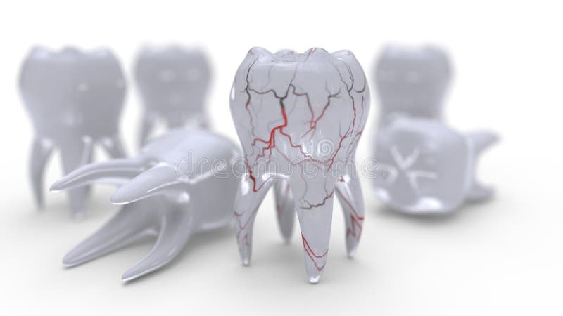 Tooth Model and Veins on the White, 3d Rendering Stock Illustration ...