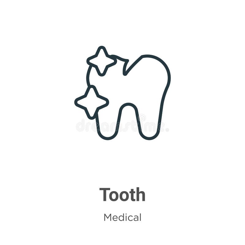 Tooth Outline Vector Icon. Thin Line Black Tooth Icon, Flat Vector ...