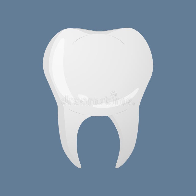 Tooth in Realistic Style. Teeth Dentist Icon Stock Vector ...