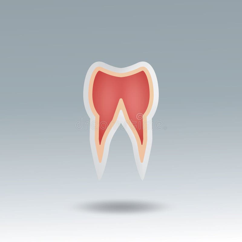 Tooth Root. Vector Illustration Decorative Design Stock Vector ...