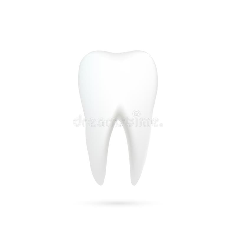 Tooth with shadow stock vector. Illustration of concept - 137821484