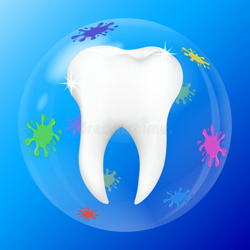 Tooth Shell Stock Illustrations – 213 Tooth Shell Stock Illustrations ...
