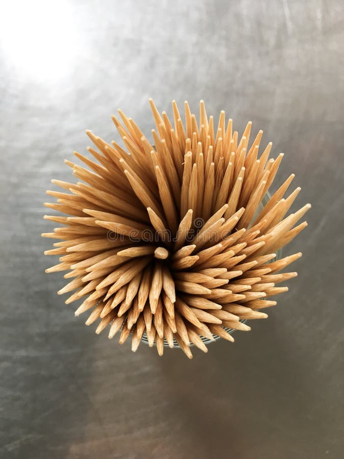 Tooth stick stock photo. Image of flower, plant, squirrel - 54136956