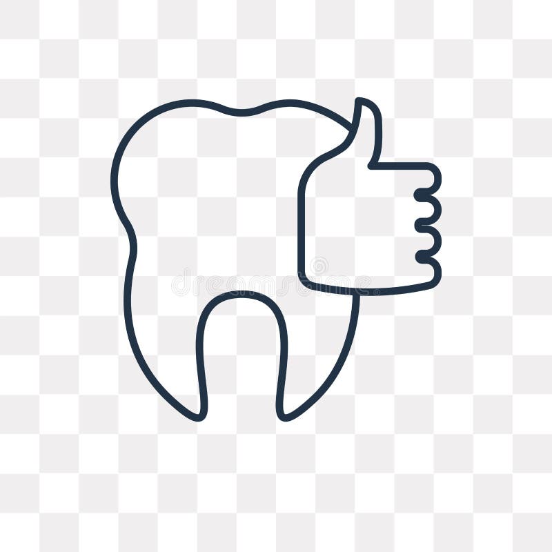 Tooth Vector Icon Isolated on Transparent Background, Linear Too Stock ...