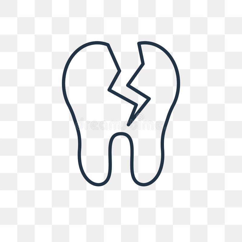 Tooth Vector Icon Isolated on Transparent Background, Linear Too Stock ...