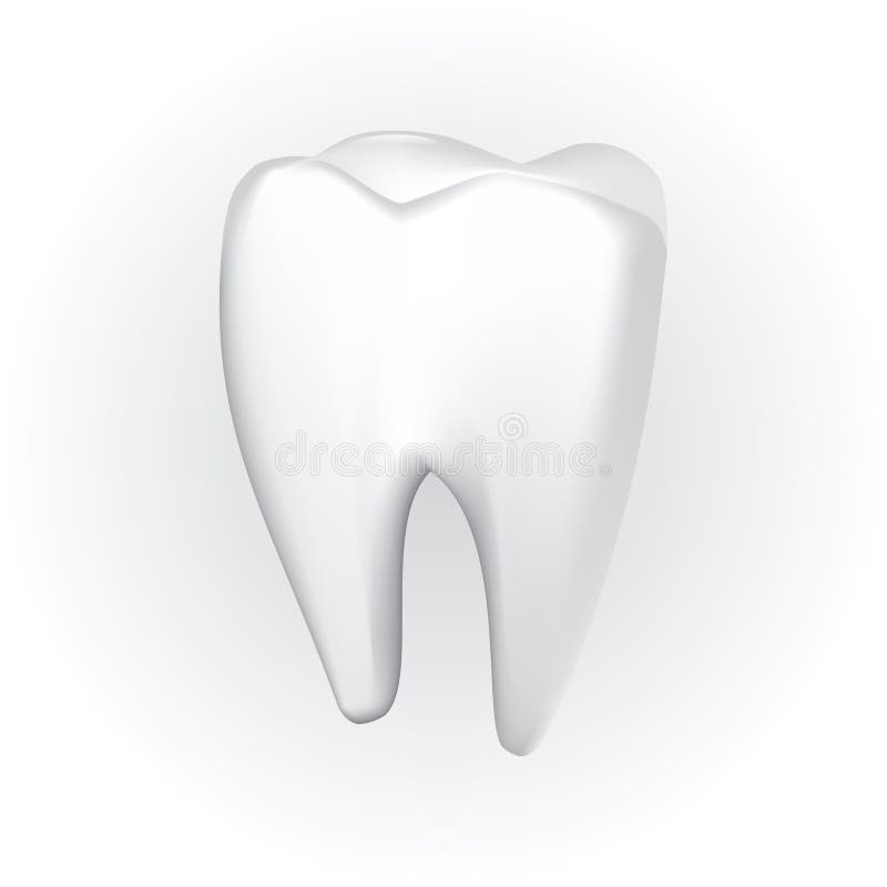 Tooth. Vector Illustration Decorative Background Design Stock Vector ...