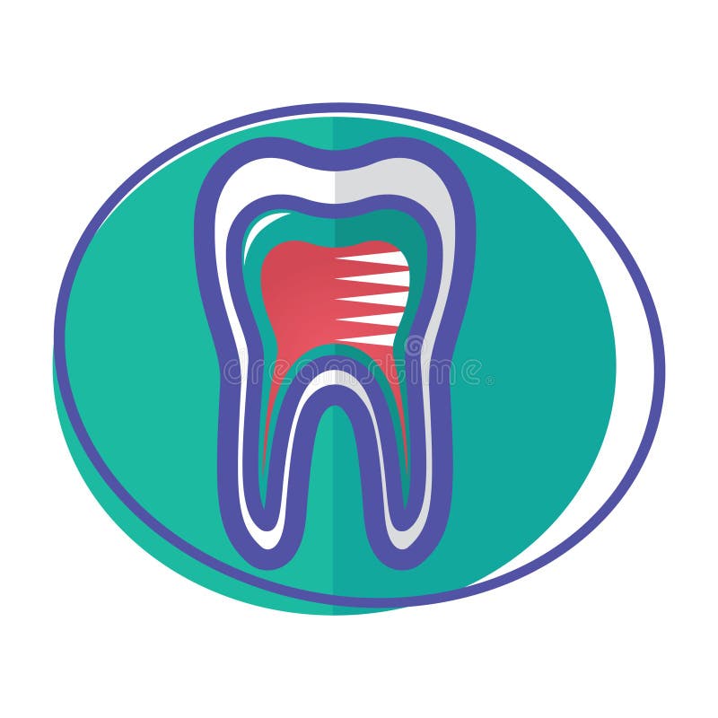 Tooth. Vector Illustration Decorative Design Stock Vector ...