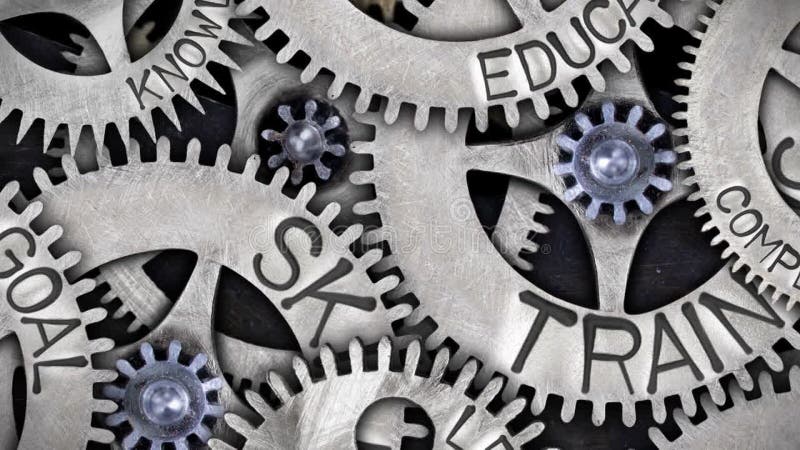 Tooth Wheels with Skill Training Concept. Stock Video - Video of ...