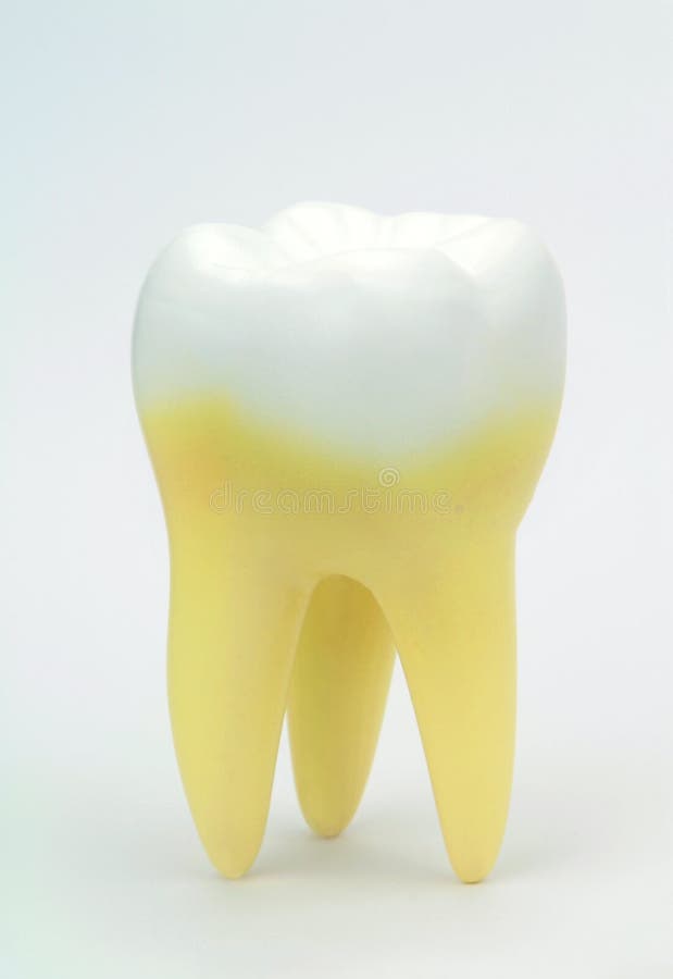 Tooth on white background. stock image. Image of enamel - 51941121