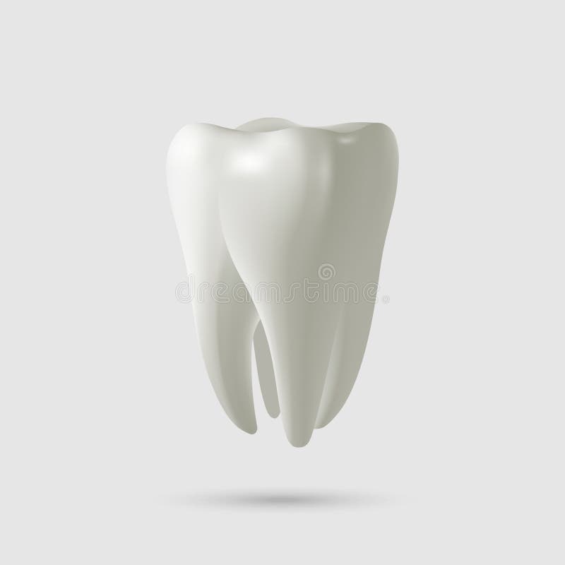 Tooth on White. Vector Illustration Stock Vector - Illustration of ...