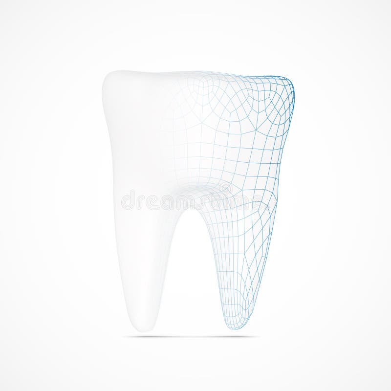 Tooth wireframe stock vector. Illustration of medicine - 56997987