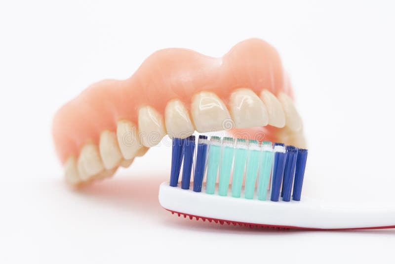 Toothbrush Cleaning the Arches of a Denture Stock Photo - Image of ...