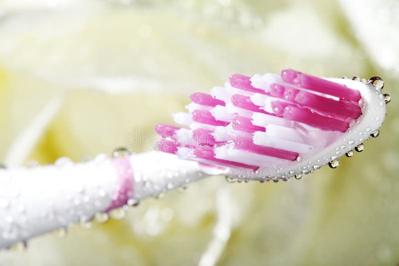 Toothbrush Closeup with Water Stock Photo - Image of fresh, natural ...