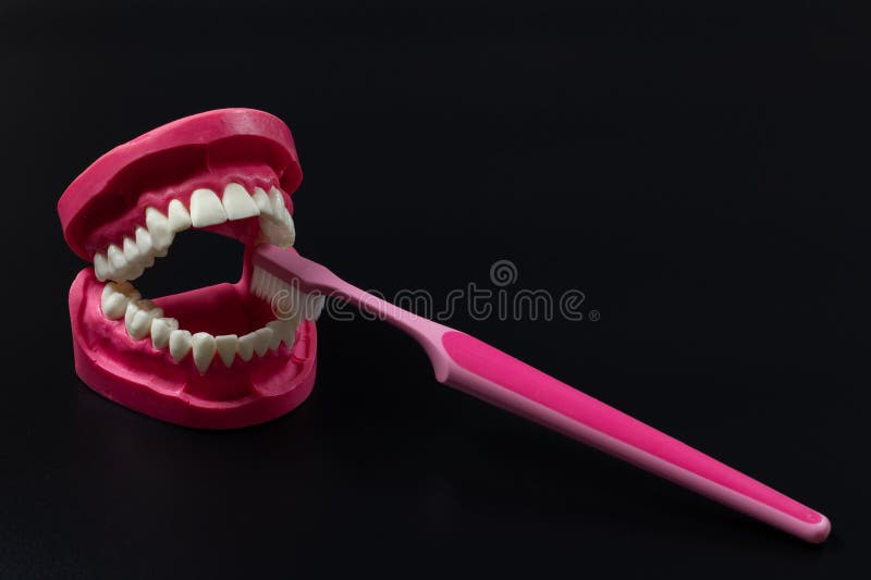 Toothbrush and Layout of the Human Jaw on the Black Background Stock ...