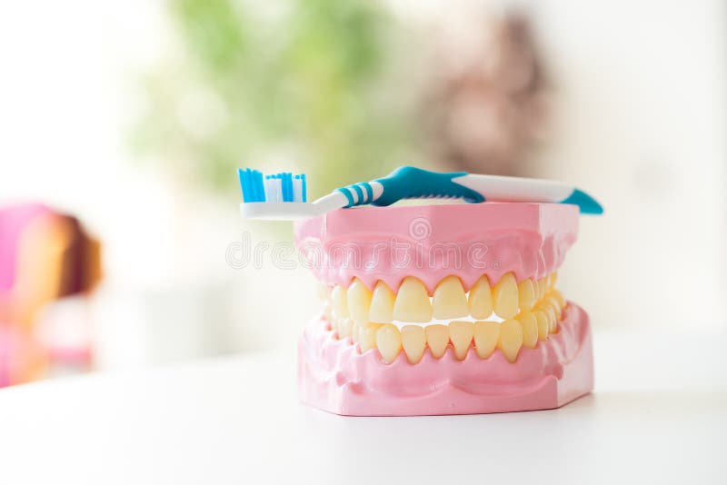 Toothbrush Set for Dental Care Stock Image - Image of exam, mirror ...