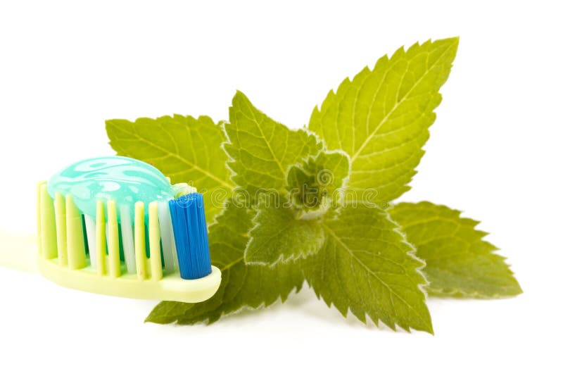 Toothbrush, Toothpaste and Fresh Leaves of Mint Stock Photo - Image of ...