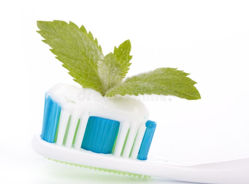 Toothbrush With Toothpaste And Fresh Leaves Of Mint Stock Photo - Image ...