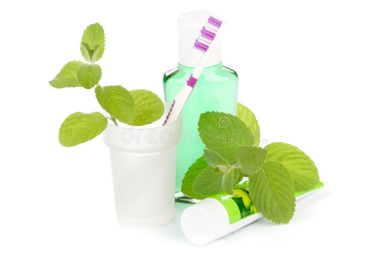 Toothbrush, Toothpaste and Leaves of Mint Stock Photo - Image of ...