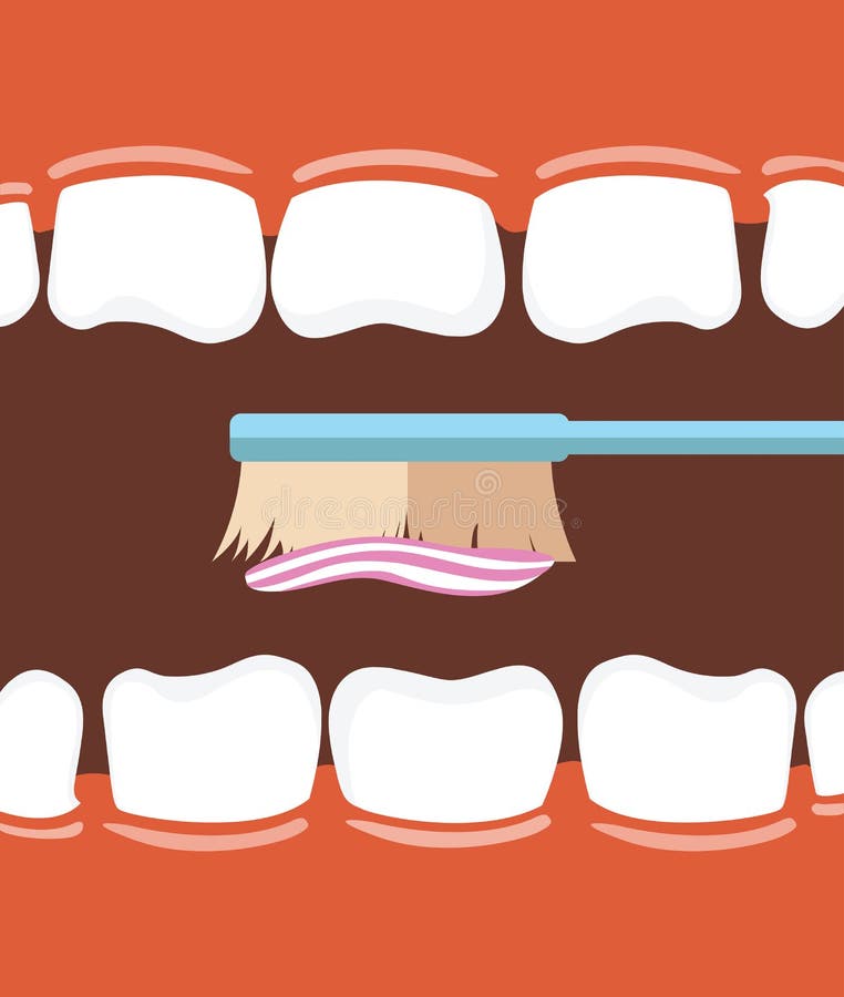 Toothbrush with Toothpaste in Wide Open Mouth Stock Vector ...