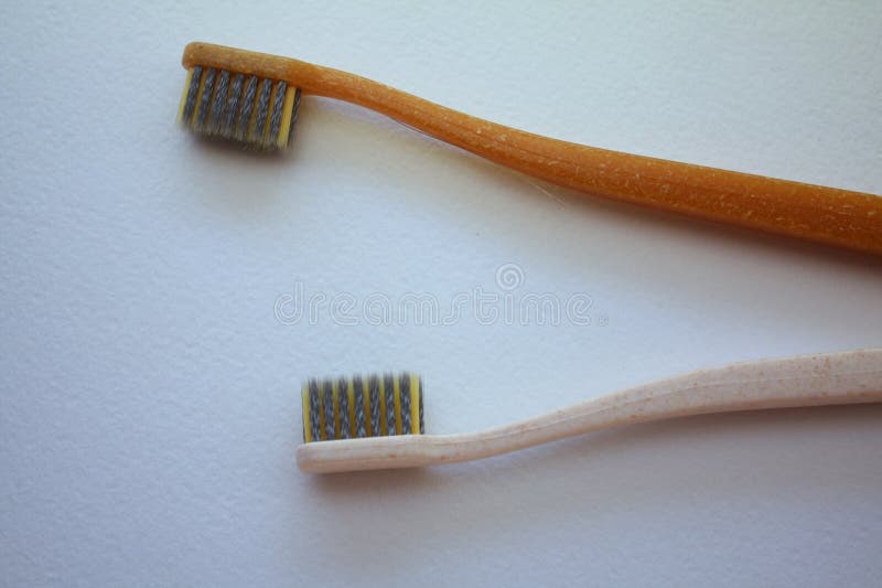 Toothbrushes, Personal Hygiene, Routine, Brush Teeth Stock Image ...