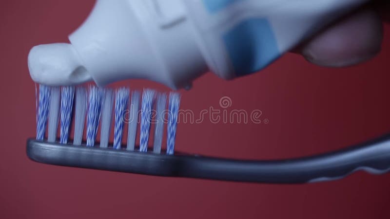 Toothpaste is Pressed on a Brush on a Burgundy Background Stock Footage ...