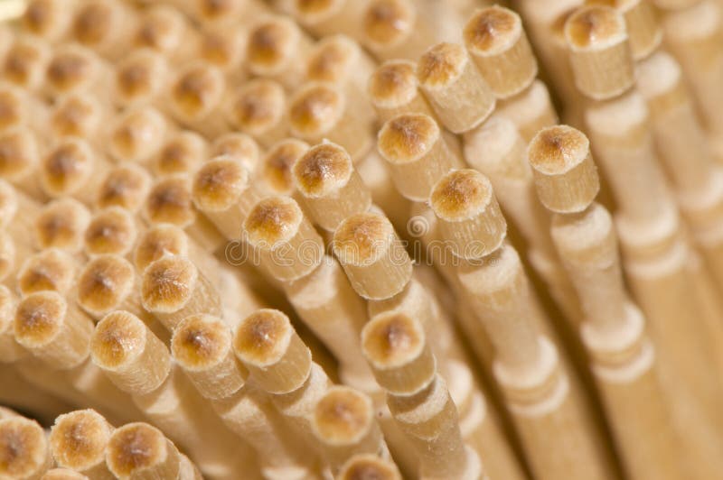 Toothpick stock photo. Image of toothpick, dental, orthodontal - 13180016