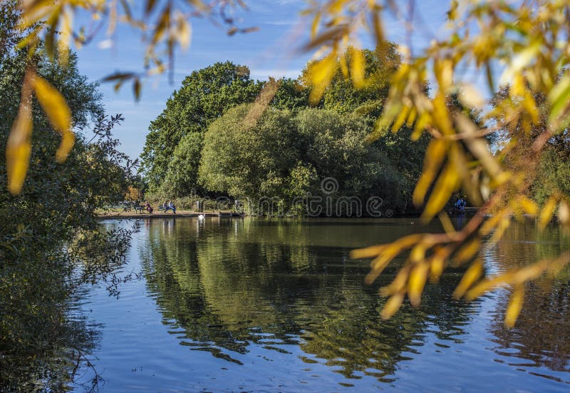 Tooting Commons - a Sunny Day by the Pond. Stock Photo - Image of water ...