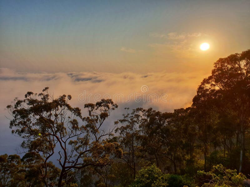 Toowoomba Sunrise stock image. Image of trees, toowoomba - 135666625