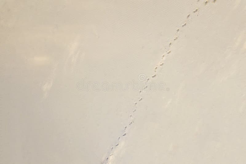 Top Aerial View of Footsteps Footprints on Sand Dunes in the Desert ...