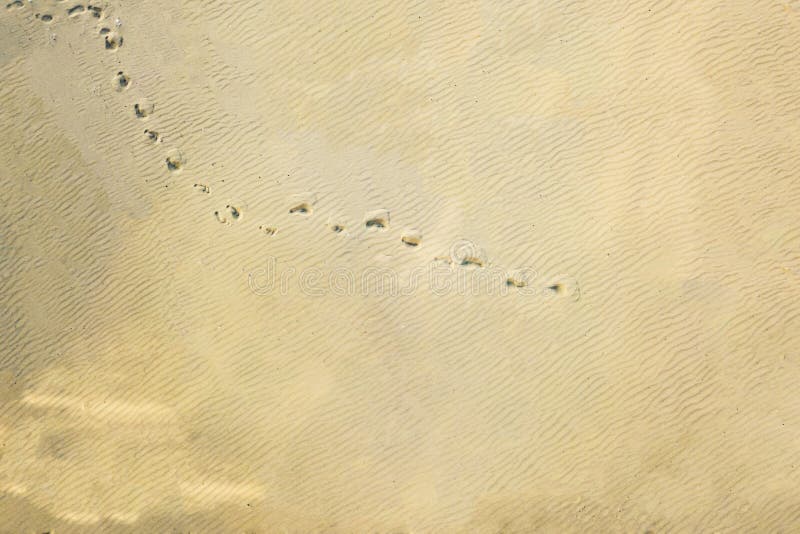 Top Aerial View of Footsteps Footprints on Sand Dunes in the Desert ...