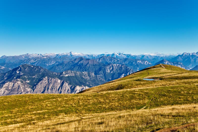 At the top of the Alps stock image. Image of heaven, meadow - 21571717