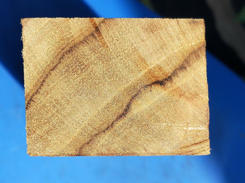 Top Angle View of Perfectly Sliced Teak Wood Stock Photo - Image of ...