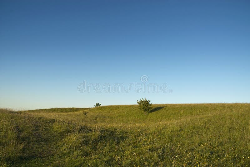 Top of Beacon Hill stock image. Image of walking, england - 10245447