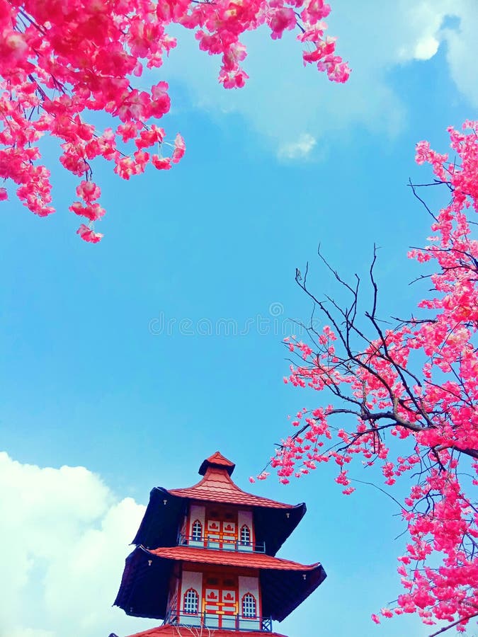 The Top of the Building with Cherry Blossoms Stock Image - Image of ...