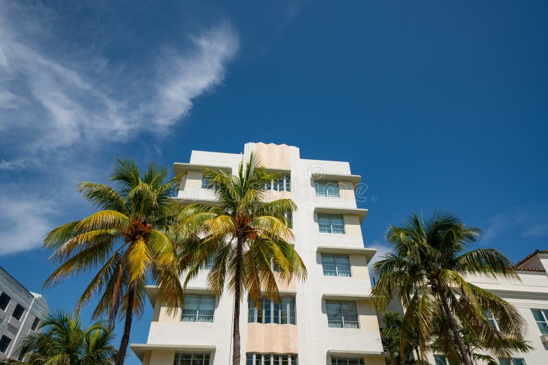 Top of Building with Palm Tree on Blue Sky Miami Beach Scene Stock ...
