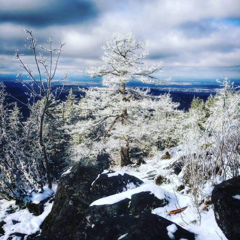 The view from above stock photo. Image of view, snowy - 116677726