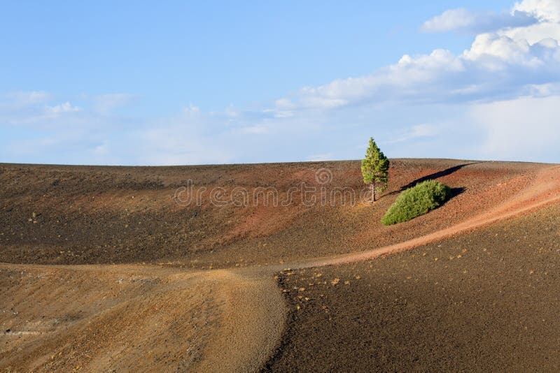 On Top of Cinder Cone stock photo. Image of volcanic - 33249238