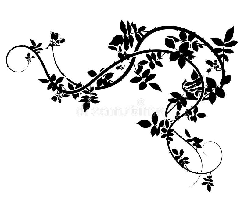 Climbing Rose Silhouette Stock Illustrations – 149 Climbing Rose ...