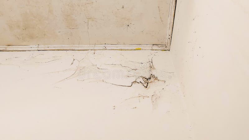 The Top Corner of the Room Has Cobwebs Stock Image - Image of undefined ...
