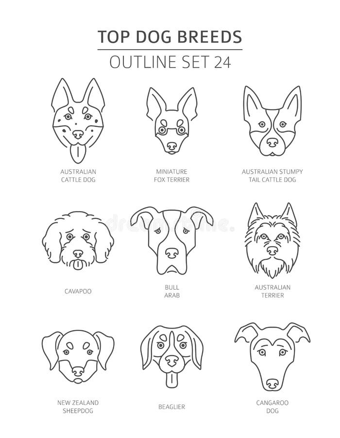 Cavapoo Stock Illustrations – 346 Cavapoo Stock Illustrations, Vectors ...