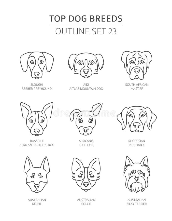 Top Dog Breeds. Pet Outline Collection Stock Vector - Illustration of ...
